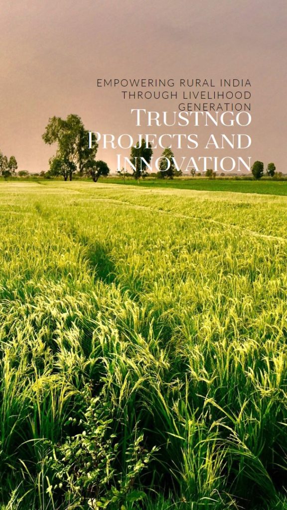 Gallery – TrustngoProjects