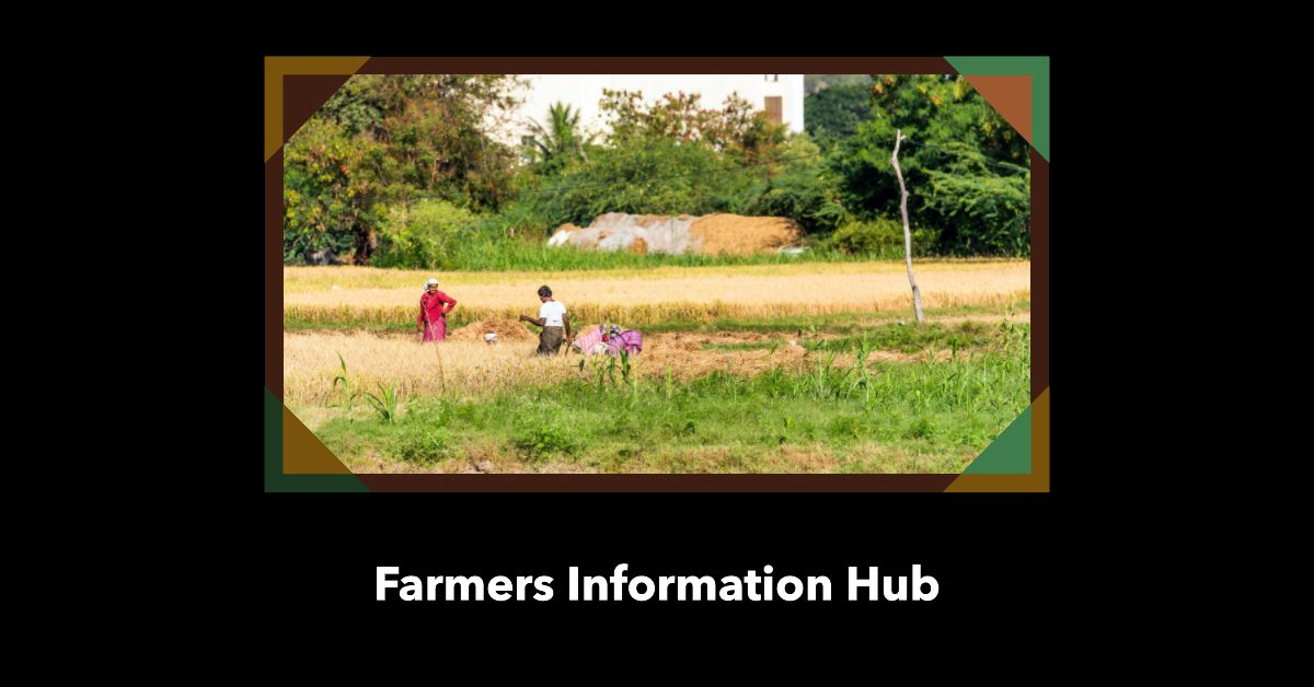 Projects – TrustngoProjects